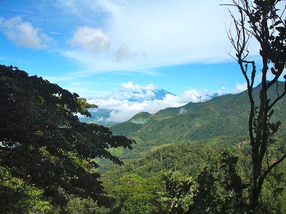David, Panama: Everything You Need To Know 2025