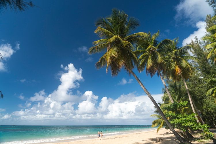 Uncovering Las Terrenas, Dominican Republic As The World's Best Beach