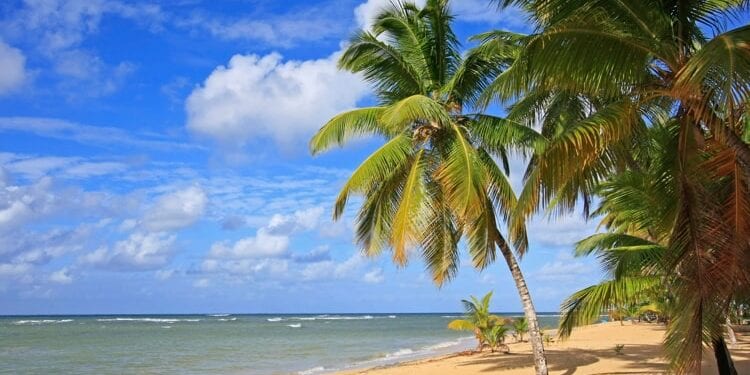 10 Things To Do In Las Terrenas That Will Make You Love The DR