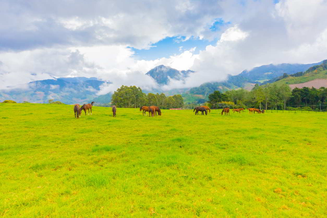 Learn About Volcan, Panama - Live and Invest Overseas
