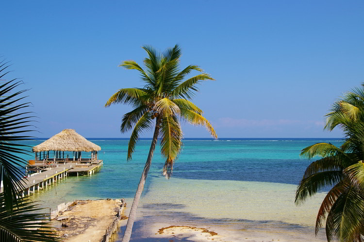 Cooking With Coconuts And Learning To Love Life In Belize