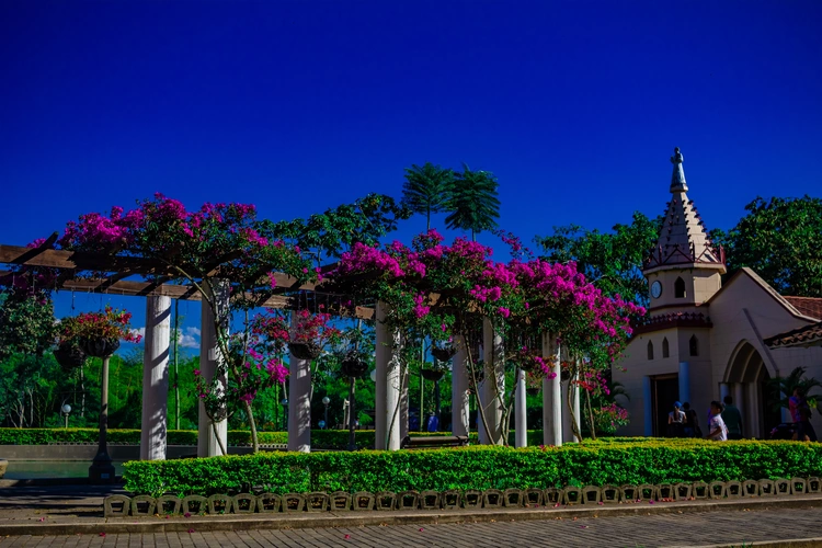 8 Reasons Why Pereira, Colombia, Offers Quality Of Life