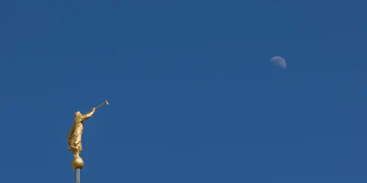 My Criminal Record Confession